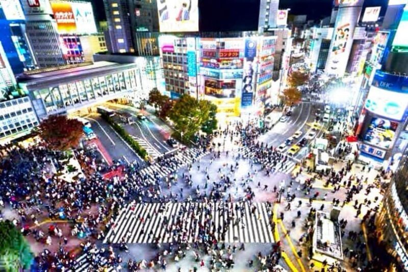 Tokyo One day Private Tour with English speaking Driver - Who Would Appreciate This Tour?