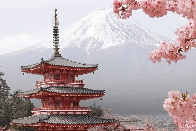 Tokyo: Open Top Sightseeing Bus with Audio Guide - Who Is This Tour Best For?