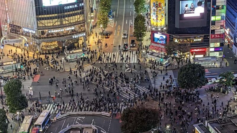 Tokyo Orientation One Day Tour: Taylor Made to Your Needs: - Key Points