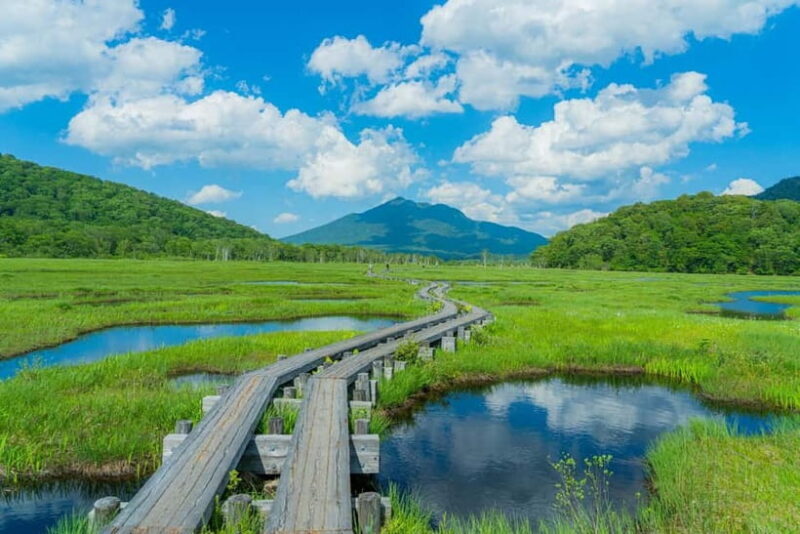 Tokyo: Oze Marshland Hiking Day Trip via Hatomachi Pass - What to Bring for a Comfortable Day