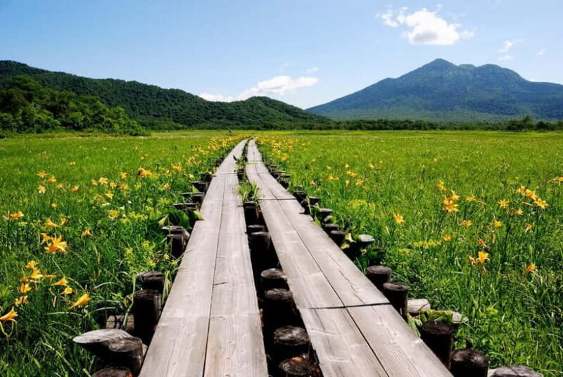 Tokyo: Oze Marshland Hiking Day Trip via Hatomachi Pass - The Authentic Experience: Why It Matters