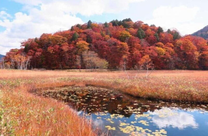 Tokyo: Oze Marshland Hiking Day Trip via Hatomachi Pass - Value and Suitability