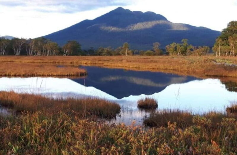 Tokyo: Oze Marshland Hiking Day Trip via Hatomachi Pass - The Sum Up