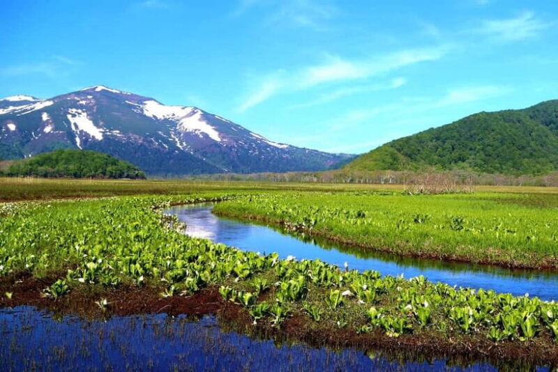 Tokyo: Oze National Park Self-Guided Hike with Overnight Bus - Introduction: An Authentic Japanese Nature Escape