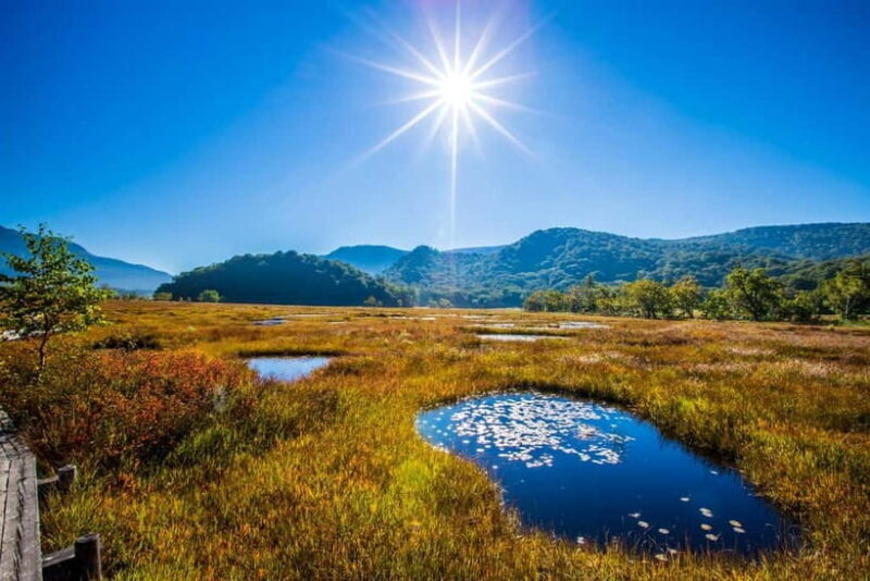 Tokyo: Oze National Park Self-Guided Hike with Overnight Bus - The Scenic Experience: What Makes Oze Special?