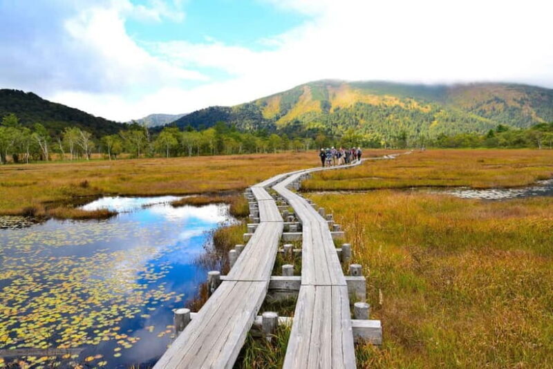 Tokyo: Oze National Park Self-Guided Hike with Overnight Bus - The Value of This Experience