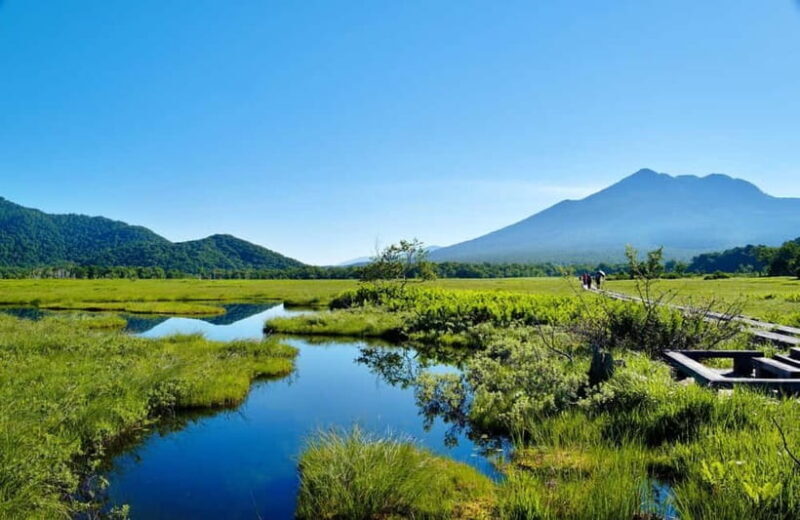 Tokyo: Oze National Park Self-Guided Hike with Overnight Bus - The Sum Up: An Authentic Nature Day in Japan