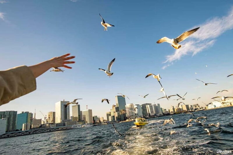 Tokyo: Panoramic Sunset Bay Cruise with Local Guide - FAQ