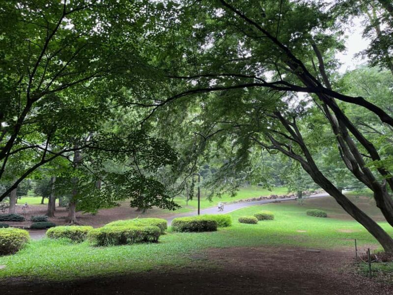 Tokyo "Perfect Days" Movie Walk Feat. Yoyogi & Sugamo 3 Hrs - The Experience: Practicalities & Value