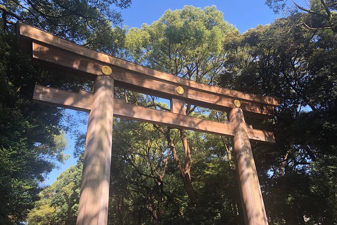 Tokyo Personalized Full-day Tour Led by a Local Expert - How the Day Unfolds