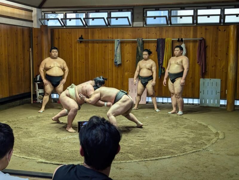 Tokyo: Personalized Half-day Tour - Introduction: A Customized Taste of Tokyo