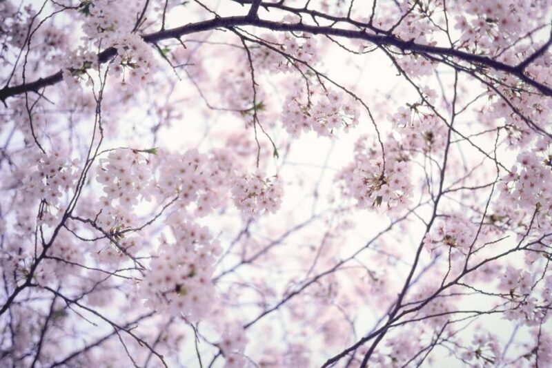 Tokyo: Photography Masterclass - Private Photo Lesson - Final Thoughts