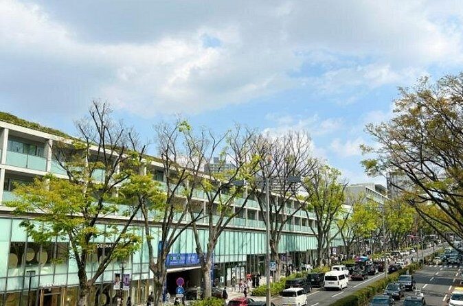 Tokyo Pop Culture & Tradition Tour: Meiji Shrine to Harajuku - Who Would Enjoy This Tour?