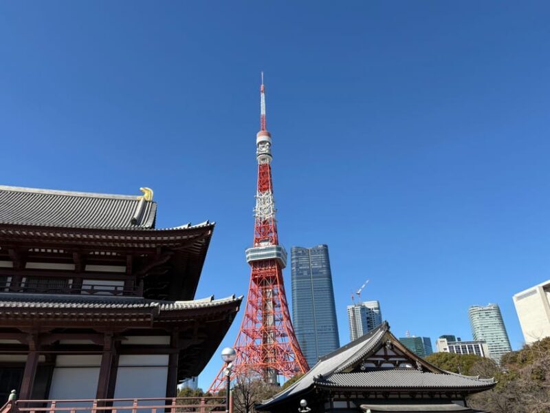 Tokyo: Private 1-Day Tour by Car with Local Guide - Key Points