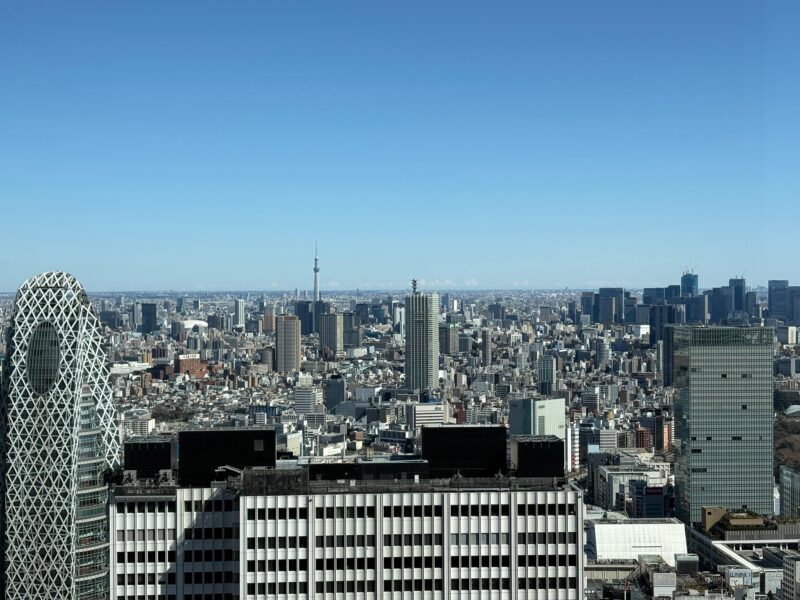 Tokyo: Private 1-Day Tour by Car with Local Guide - What’s the Experience Like?