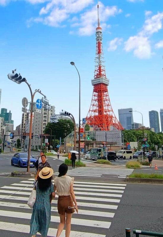 Tokyo: Private 6-Hour Tour of Shinjuku and Shibuya with a Local Guide - Key Points