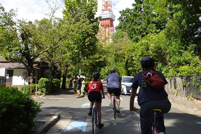Tokyo Private Bike Tour by Harajuku Bike Shop  3 Hours - Authentic Experiences and Insights from Travelers