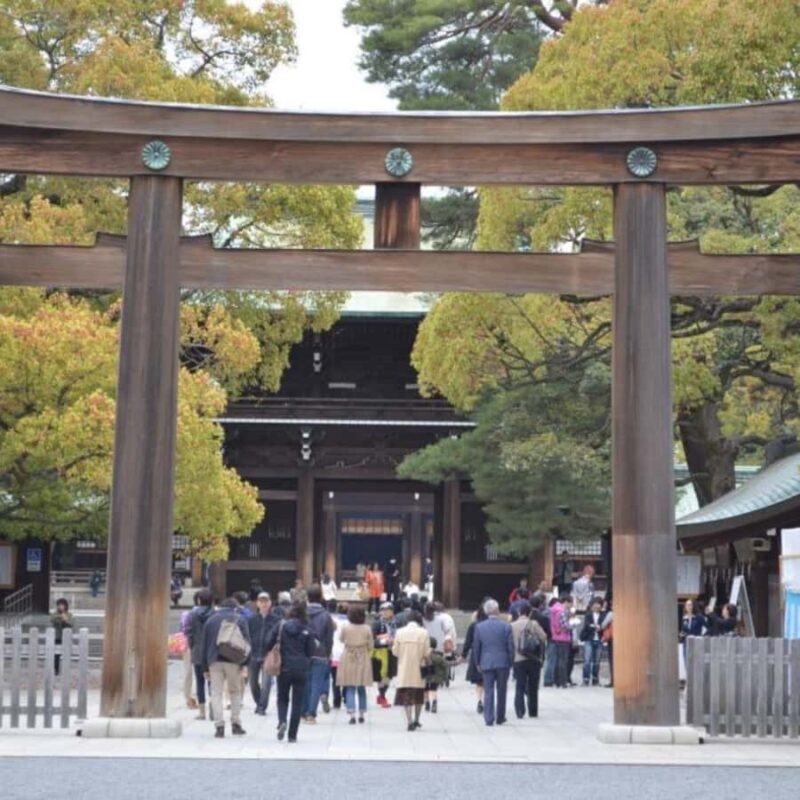 Tokyo: Private Car Tour with Custom Itinerary & Pickup - Key Points