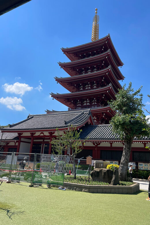 Tokyo: Private City Highlights Tour - Key Points