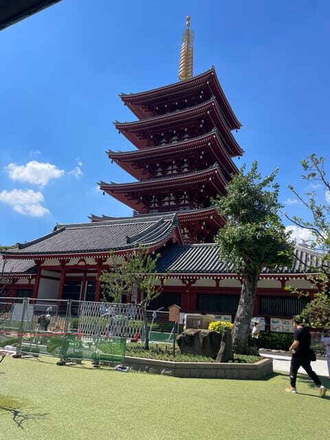 Tokyo: Private City Highlights Tour - What to Expect from the Tour