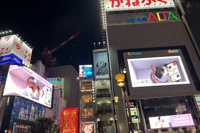 Tokyo Private City Tour - Authentic Experiences and Hidden Highlights