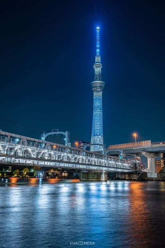 Tokyo Private City Tour Customizable with English Guide - An In-Depth Look at Your Day in Tokyo