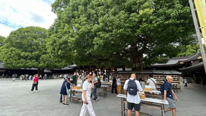 Tokyo: Private City Tour with Spanish-Speaking Guide - Key Points