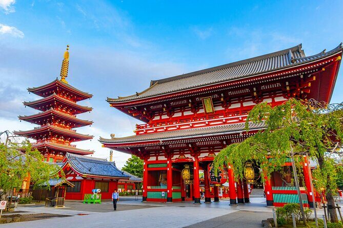 Tokyo Private Custom Full Day Sightseeing Tour by Chartered Car - An In-Depth Look at the Itinerary