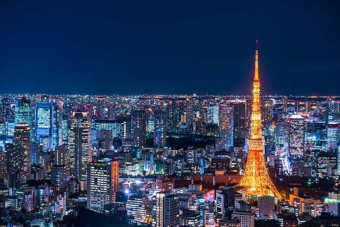 Tokyo Private Custom Full Day Sightseeing Tour by Chartered Car - Who Will Benefit Most?