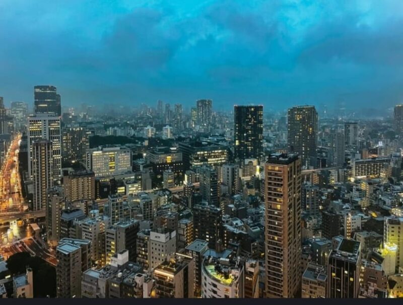 Tokyo: Private Customizable Day Tour with Chauffeur - FAQ