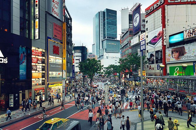 Tokyo Private Customizable Half Day Tour - What Do the Reviews Say?