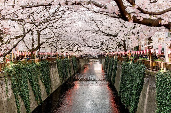 Tokyo Private Customizable Half Day Tour - Practical Details to Keep in Mind