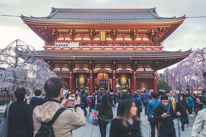 Tokyo Private Customizable Half Day Tour - Who Should Book This Tour?