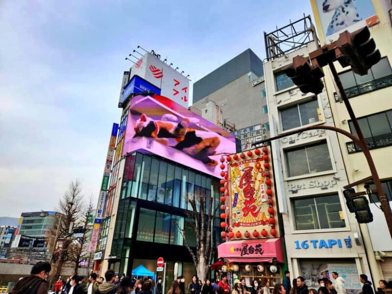Tokyo: Private & Customizable Tour - All-in-One Experience - Who Will Love This Tour?
