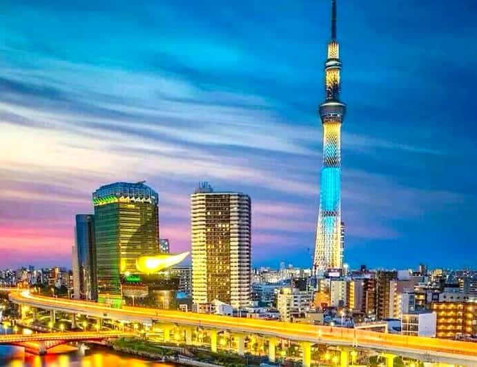 Tokyo Private Customizable Tour with a Local Guide - Key Points