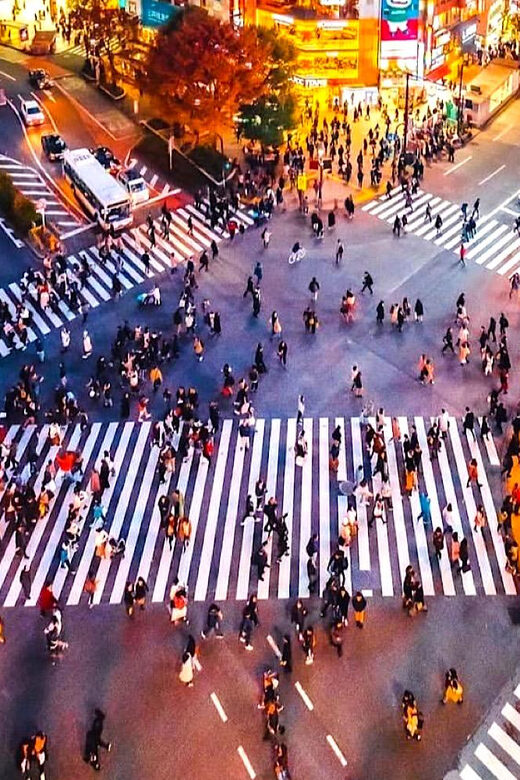 Tokyo Private Customizable Tour with a Local Guide - Why opt for this private tour in Tokyo?