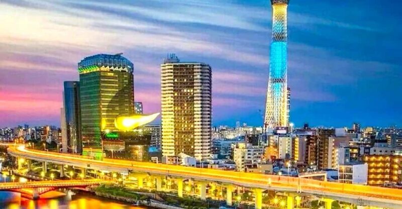 Tokyo Private Customizable Tour with a Local Guide - Practical Details and What You Can Expect