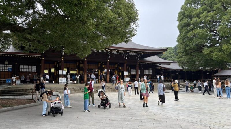 Tokyo: Private Customizable Tour with a Local Guide - Who Should Consider This Tour?