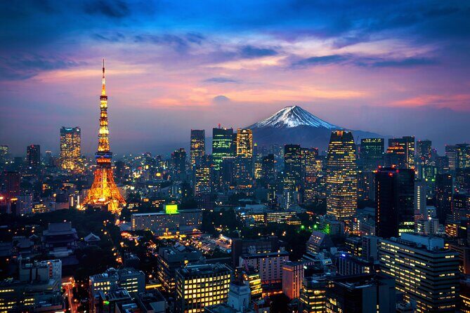 Tokyo Private Customizable Tour with English Speaking Chauffeur - What’s Included and What’s Not