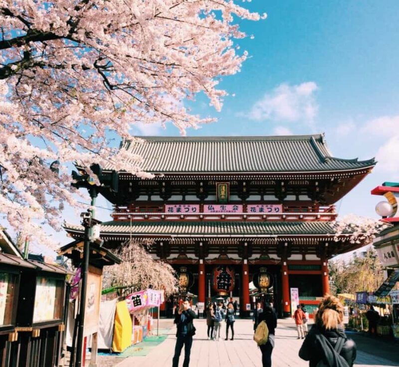 Tokyo Private Customizable Tour with English Speaking Guide - Key Points