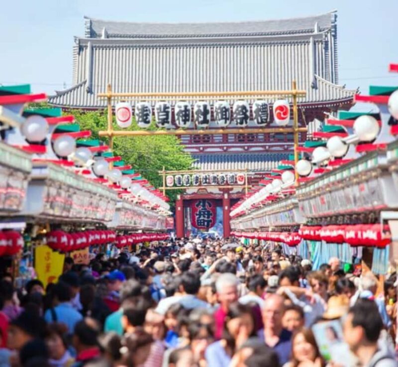 Tokyo Private Customizable Tour with English Speaking Guide - Transportation & Logistics