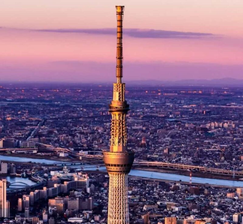 Tokyo Private Customizable Tour with English Speaking Guide - Accessibility & Group Size