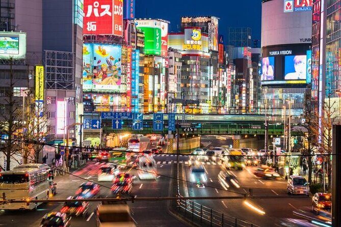 Tokyo: Private Customize Day Tour With Hotel Transfer - Experience and Comfort
