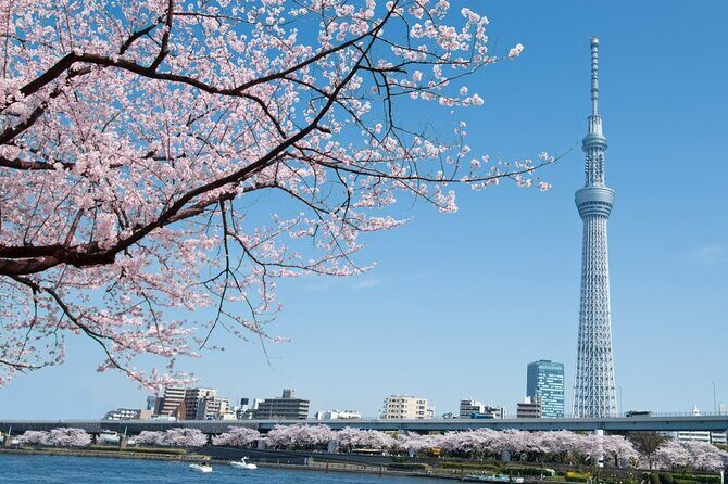 Tokyo: Private Customize Day Tour With Hotel Transfer - FAQ