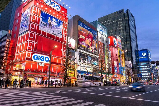 Tokyo Private Customized Day Tour - Who Will Love This Tour?
