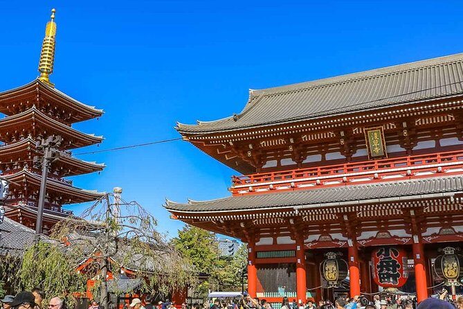 Tokyo Private Day Trip - Enjoy Your First-Time Visit to Tokyo! - Authentic Reviews: What Travelers Say