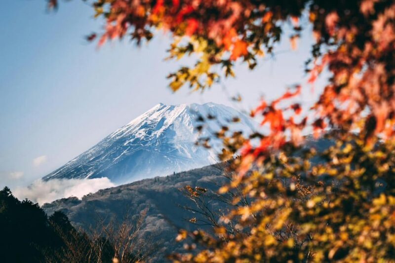 Tokyo: Private Day Trip to Mount Fuji and Hakone - Practical Details and Tips