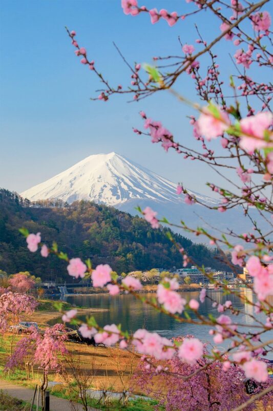 Tokyo: Private Day Trip to Mount Fuji and Hakone - Summary