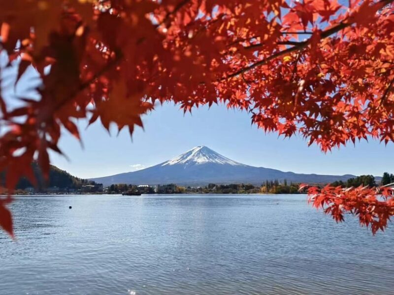 Tokyo: Private Day Trip to Mount Hakone and Lake Ashi - Key Points