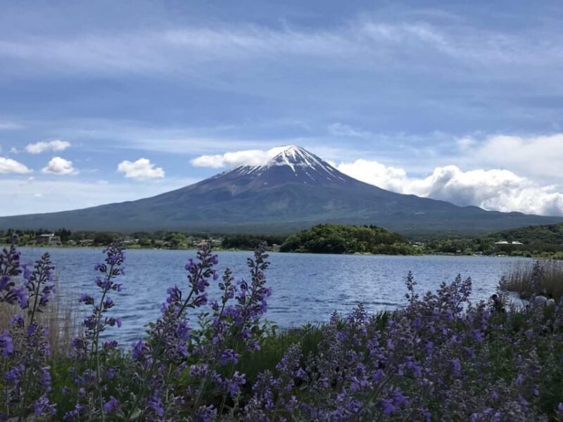 Tokyo: Private Day Trip to Mount Hakone and Lake Ashi - A Closer Look at What You Can Expect